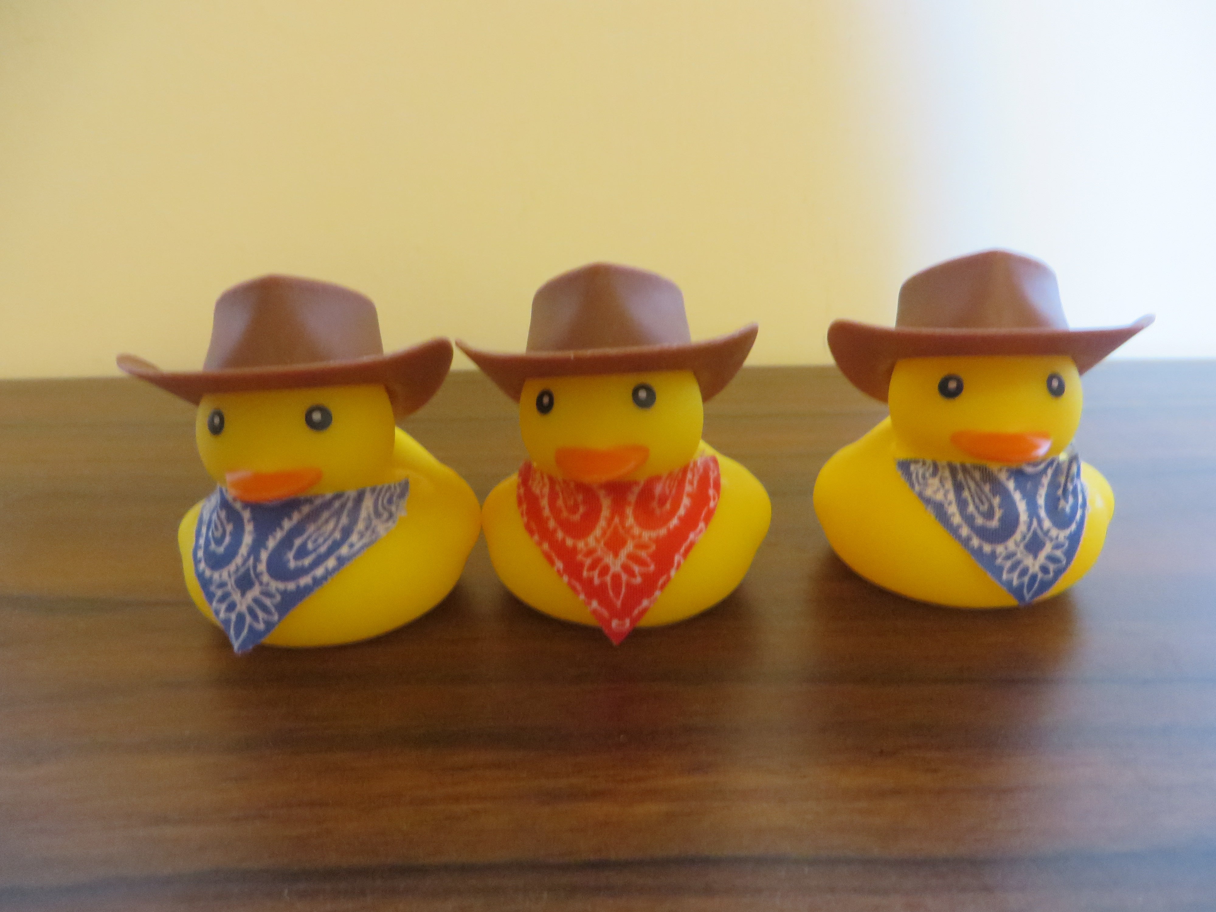 Cowboy Rubber ducks with Western hats and scarves - Annie Banany Creations