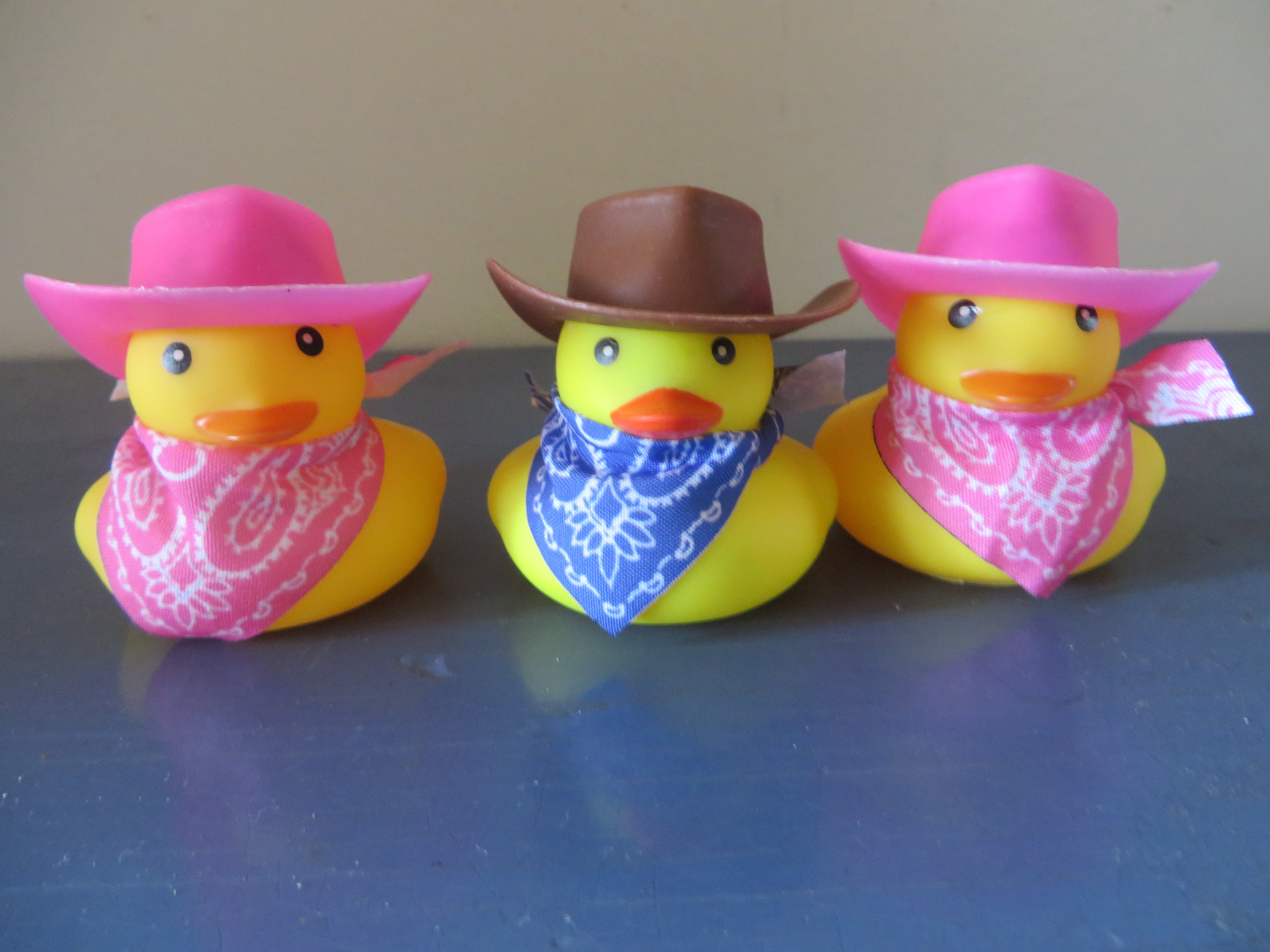 Barn Dance Rubber ducks - set of three rubber ducks - two gals, one gu ...